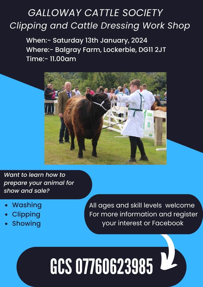 Clipping and Cattle Dressing Workshop at Balgray Farm | Galloway Cattle ...